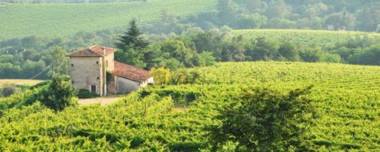 Camino Francés – den franske rute - Læs guiden her